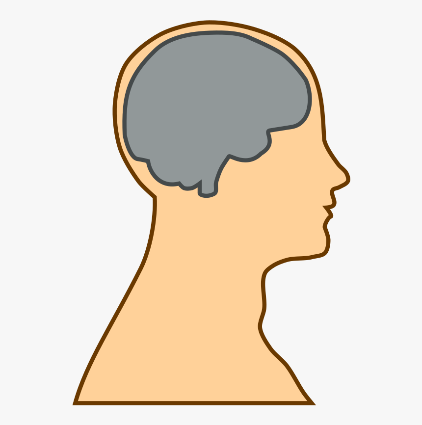 Free Simple Brain Silhouette - Cartoon Head With Brain, HD Png Download ...