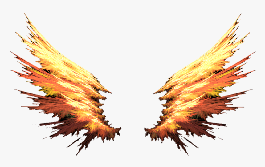 Fire Wings Red Orange Colorful Cute Badass Cool - Fire Wings Png ...