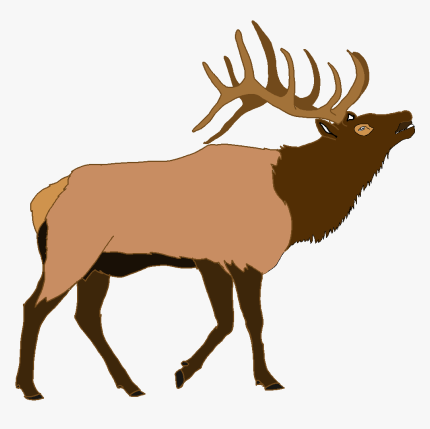 Elk Deer Illustration Vector Graphics Moose - Elk Clipart Png ...