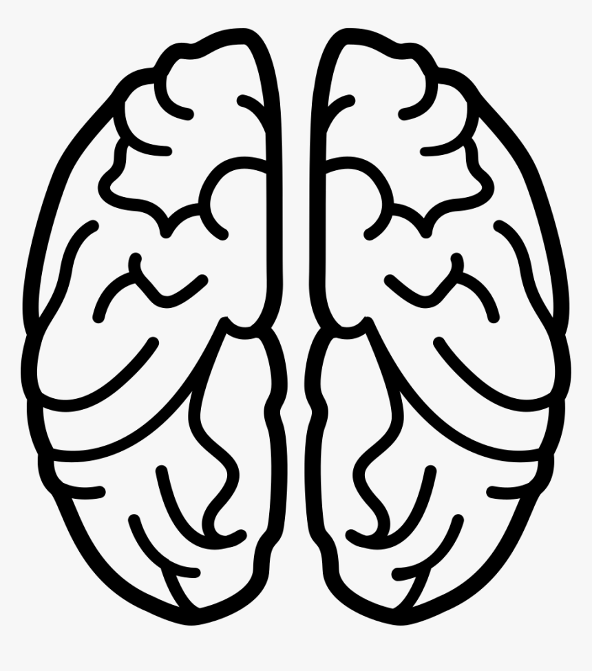 Brain .svg, HD Png Download , Transparent Png Image - PNGitem