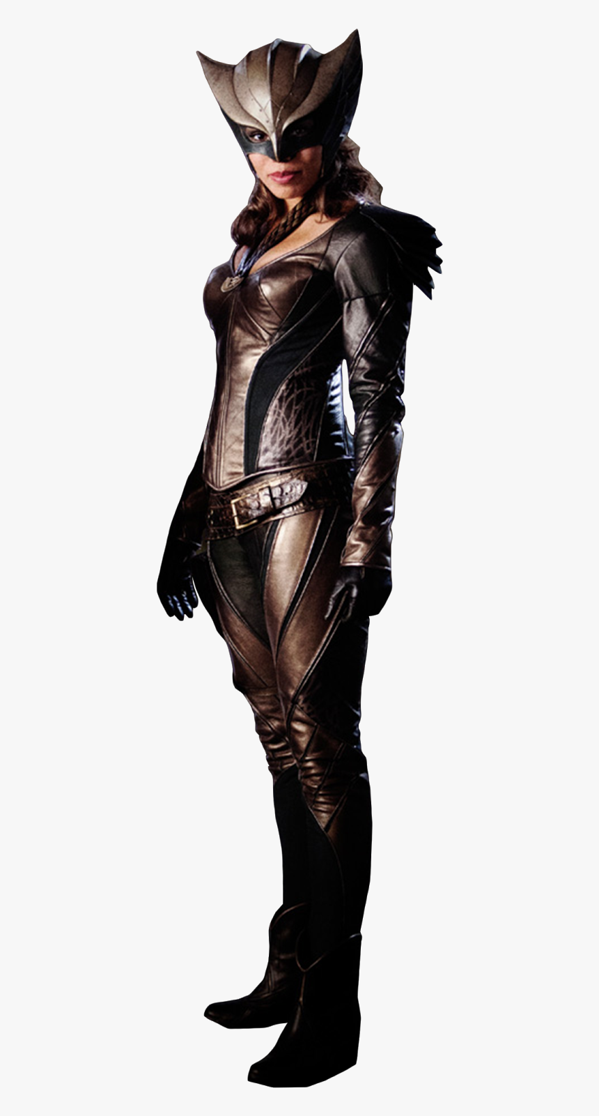 Hawkgirl Transparent, HD Png Download , Transparent Png Image - PNGitem