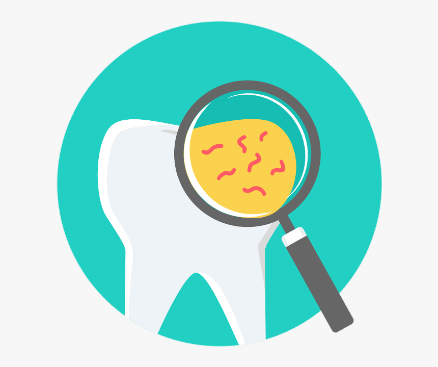 Dentist Tooth - Circle, HD Png Download , Transparent Png Image - PNGitem