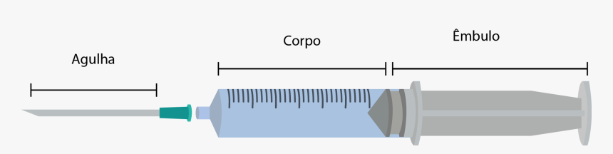 Em Seguida Montar A Seringa, Colocando O Corpo Na Mão - Êmbolo Da ...