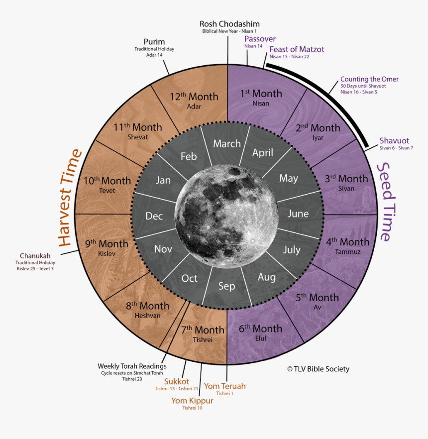 Transparent 2nd Png - Moon, Png Download , Transparent Png Image - PNGitem