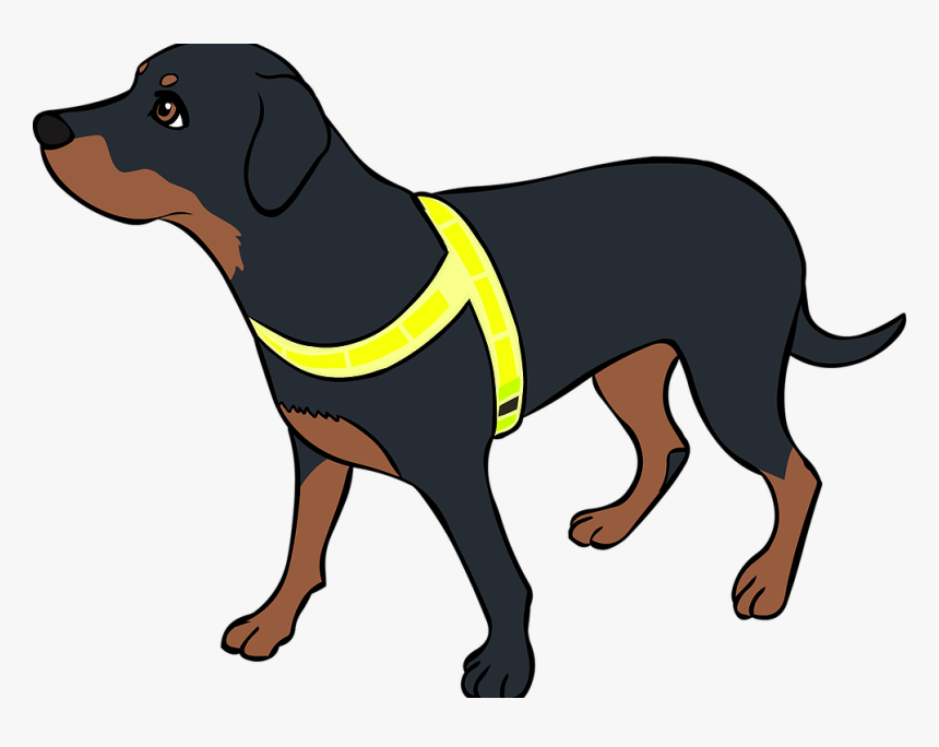 Working Dog, HD Png Download , Transparent Png Image - PNGitem