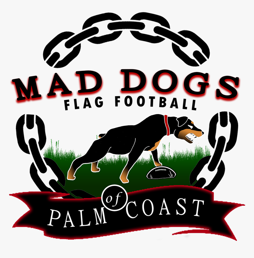 Mad Dogs Flag Football - Dog Catches Something, HD Png Download ...
