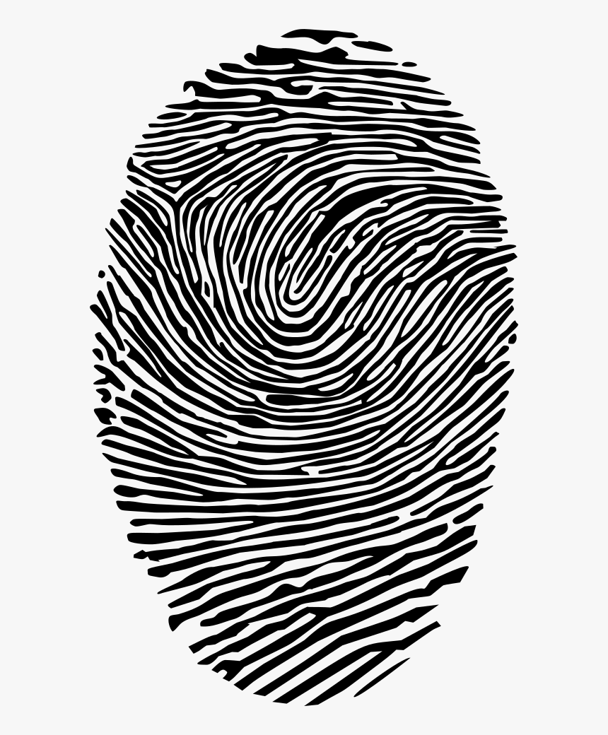 Full Fingerprints Clear Background, HD Png Download , Transparent Png ...