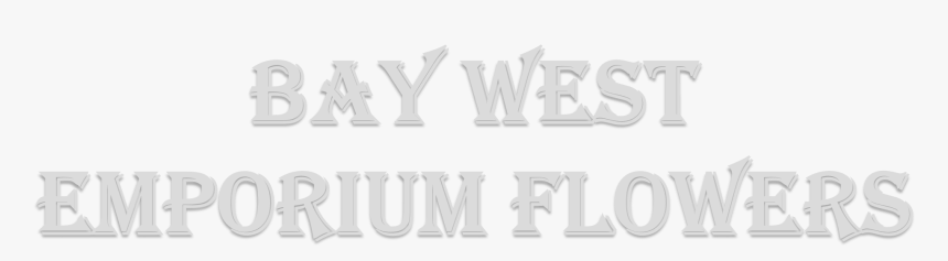 Not Random, HD Png Download , Transparent Png Image - PNGitem