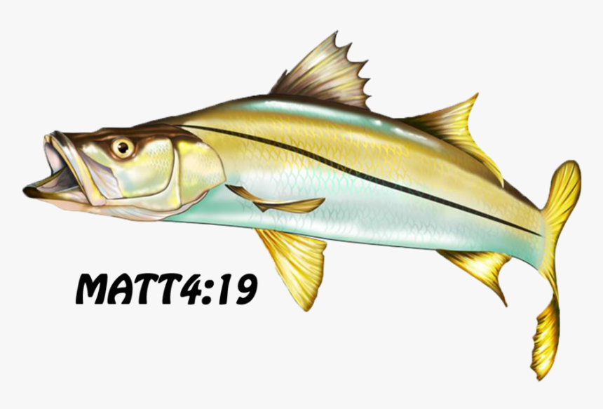 Transparent Snook Png - European Pollock, Png Download , Transparent ...