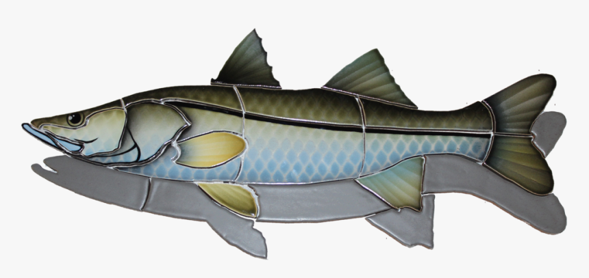 Snook - Fish, HD Png Download , Transparent Png Image - PNGitem