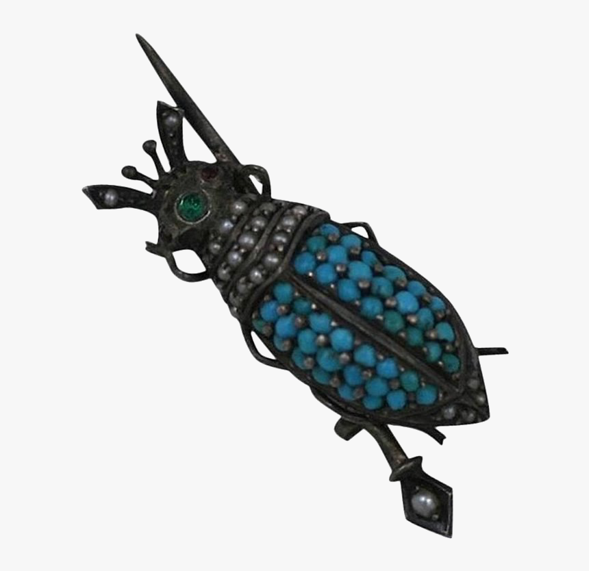 Weevil, HD Png Download , Transparent Png Image - PNGitem