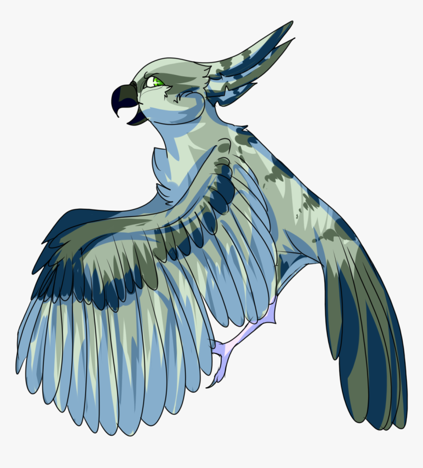 Andean Condor, HD Png Download , Transparent Png Image - PNGitem