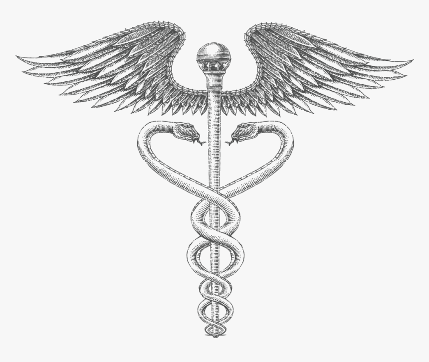 Roman Medical Symbol - Medical Logo Drawing In Black And Grey, HD Png ...