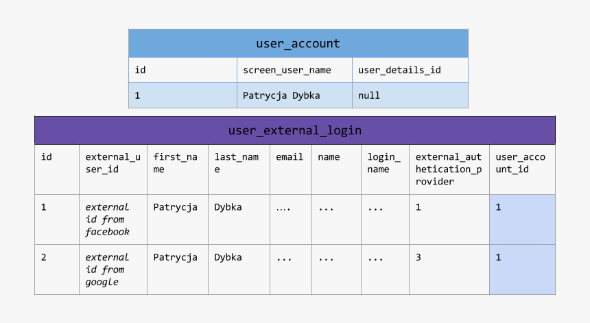 User Account And User External Login Tables - Store User Data In ...