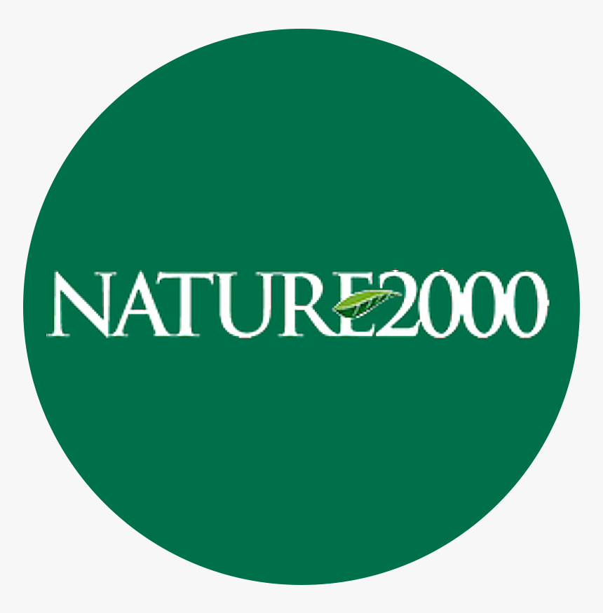 Logo Insead, HD Png Download , Transparent Png Image - PNGitem