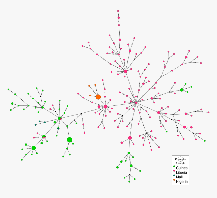 Centralization, HD Png Download , Transparent Png Image - PNGitem