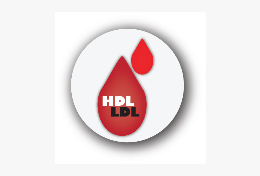 Cholesterol - Circle, HD Png Download , Transparent Png Image - PNGitem
