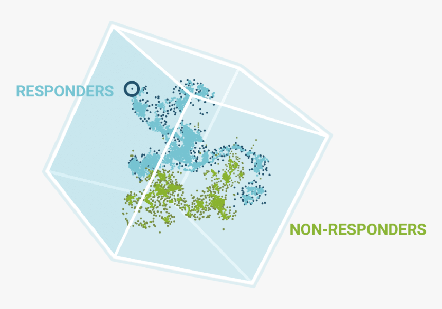 Tsne - Map, HD Png Download , Transparent Png Image - PNGitem