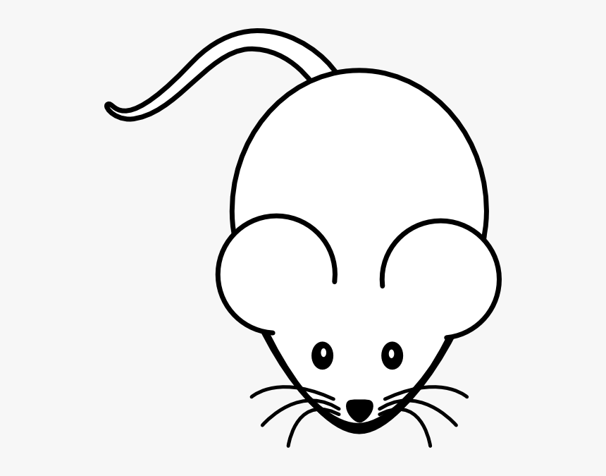 White Mouse Black Background, HD Png Download , Transparent Png Image ...