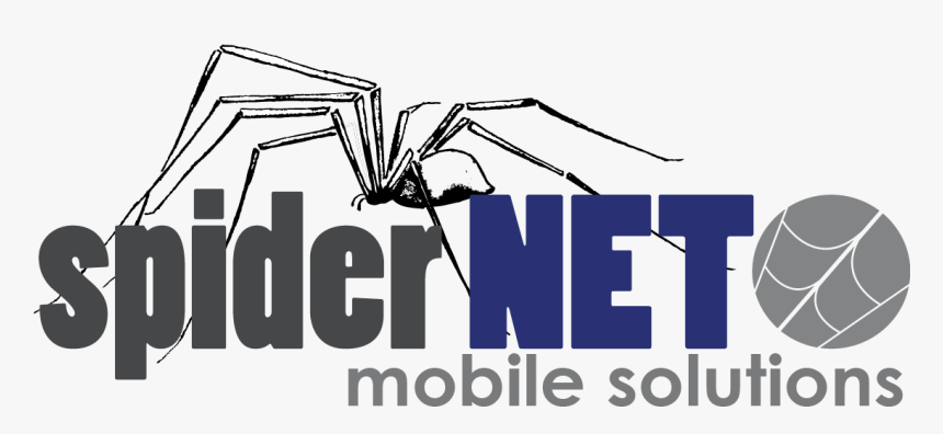 Logo - Spider Net, HD Png Download , Transparent Png Image - PNGitem