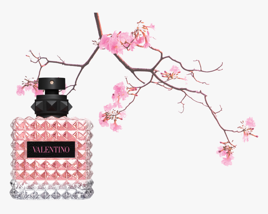 Born In Roma Valentino, HD Png Download , Transparent Png Image - PNGitem