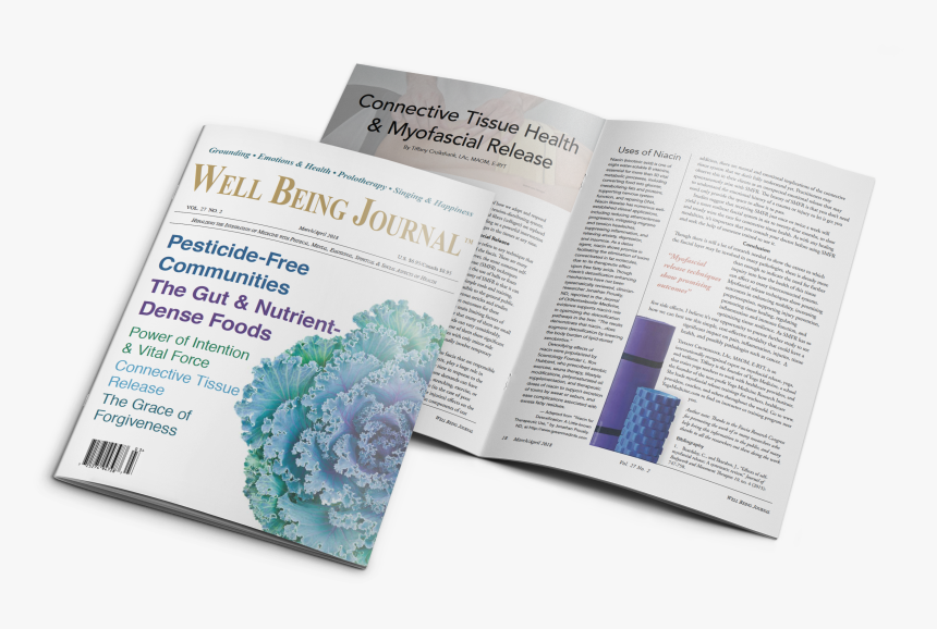 Png Free Public Tissue Calendar - Brochure, Transparent Png ...