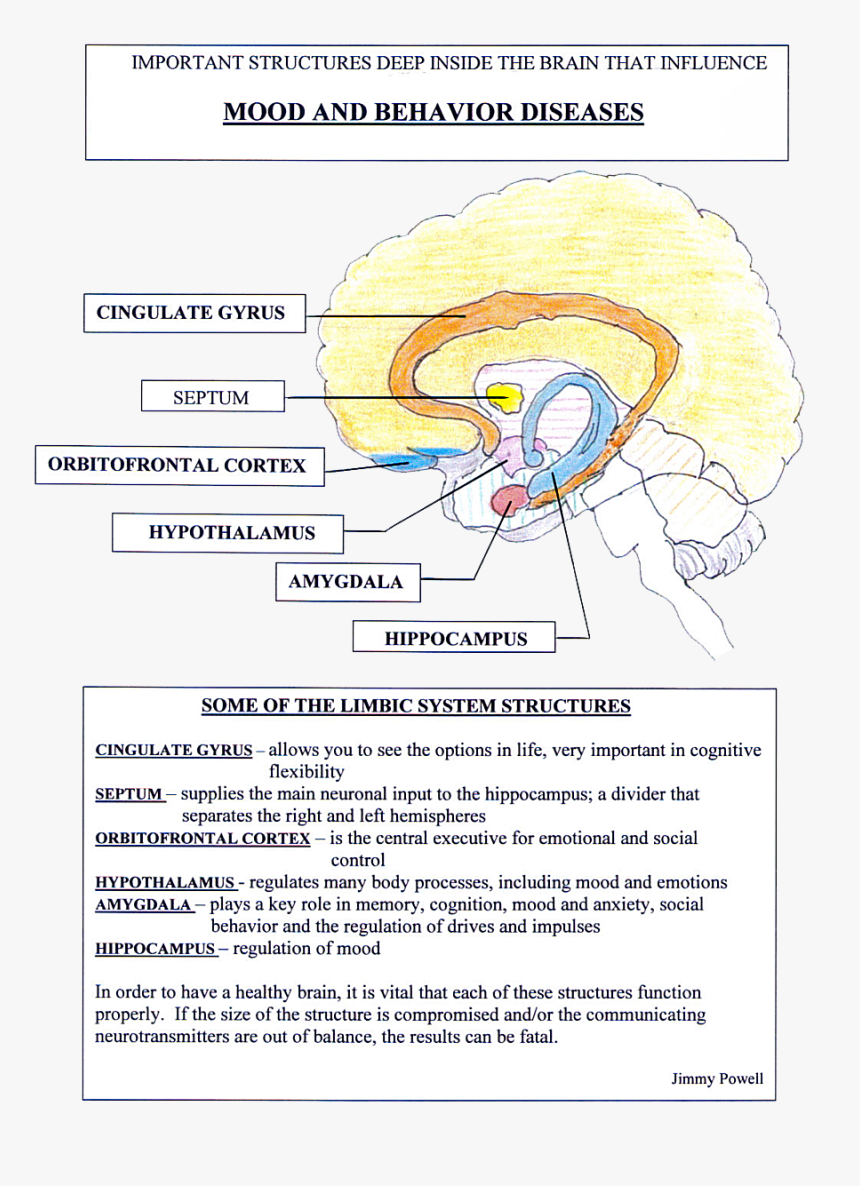 Deep Inside The Brain, HD Png Download , Transparent Png Image - PNGitem
