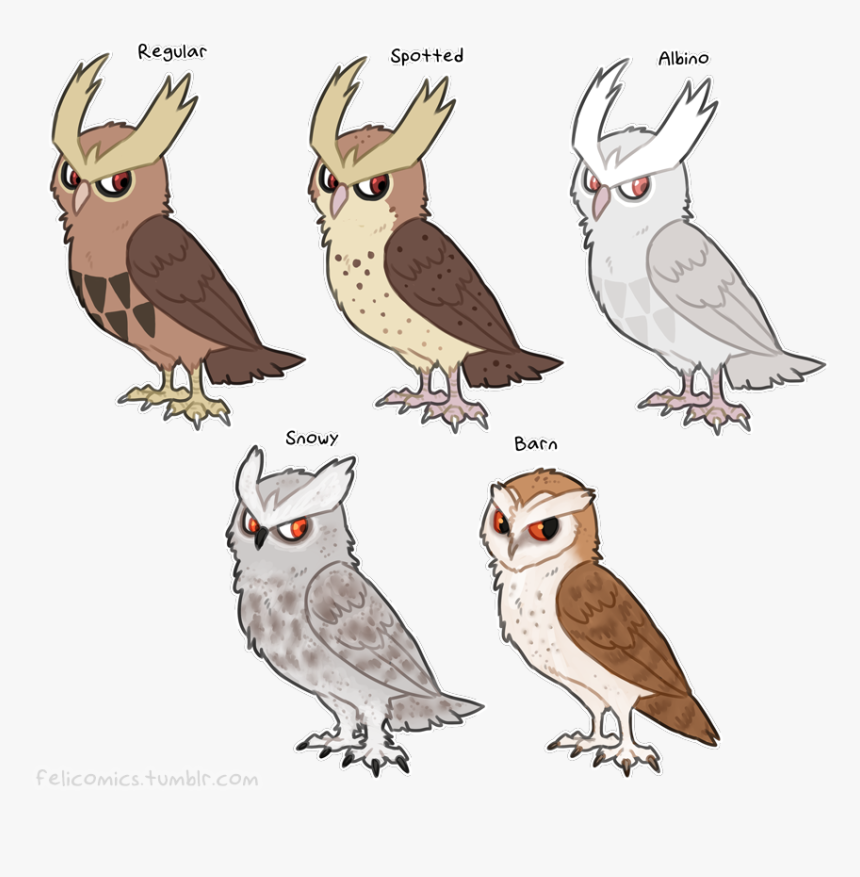Regular Spotted Albino Snowy Barn Elicomics - Owl Pokemon, HD Png ...