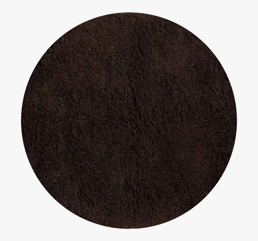 Circle, HD Png Download , Transparent Png Image - PNGitem