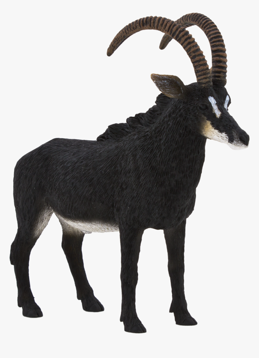 Mojo Giant Sable Antelope, HD Png Download , Transparent Png Image ...