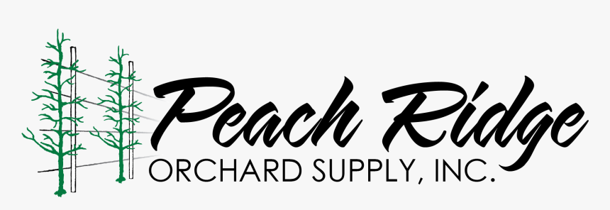 Peach Ridge - Calligraphy, HD Png Download , Transparent Png Image ...
