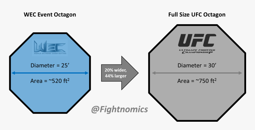 Picture Royalty Free Octagon Vector Cage - Ufc Cage Size, HD Png ...