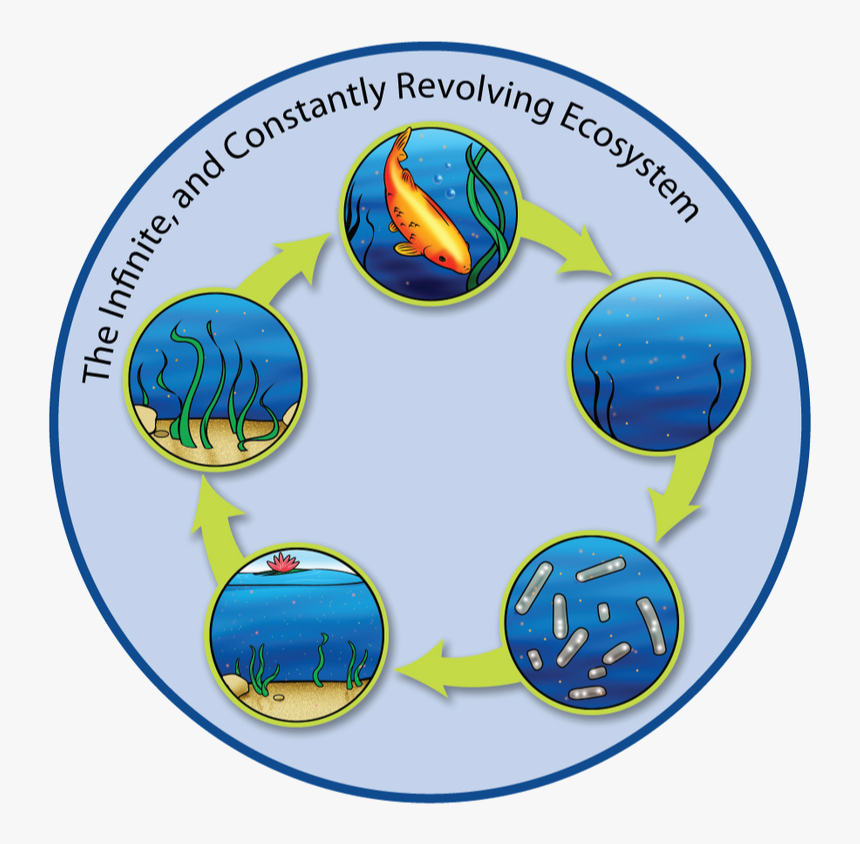 Waterfalls Drawing Pond - Importance Of Ecosystem In Our Lives, HD Png ...