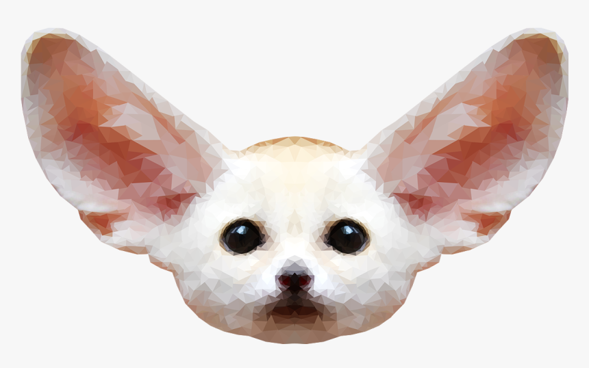 Fennec Fox Png Free Download - Fennec Fox Transparent Background, Png ...