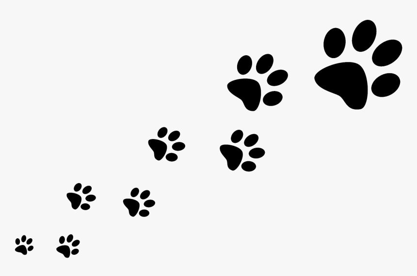 Dog Walking Pet Sitting Cat - Trail Of Paw Prints, HD Png Download ...