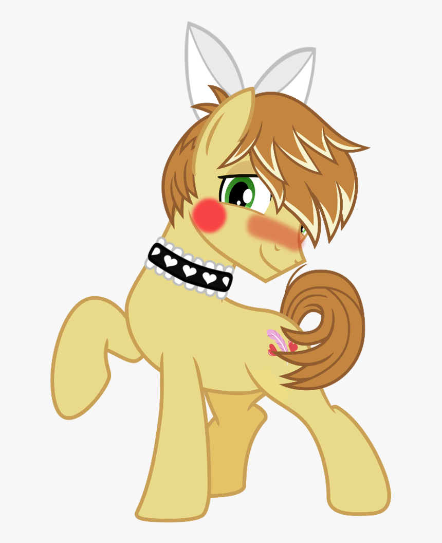 Mlp Worst Ponies, HD Png Download , Transparent Png Image - PNGitem