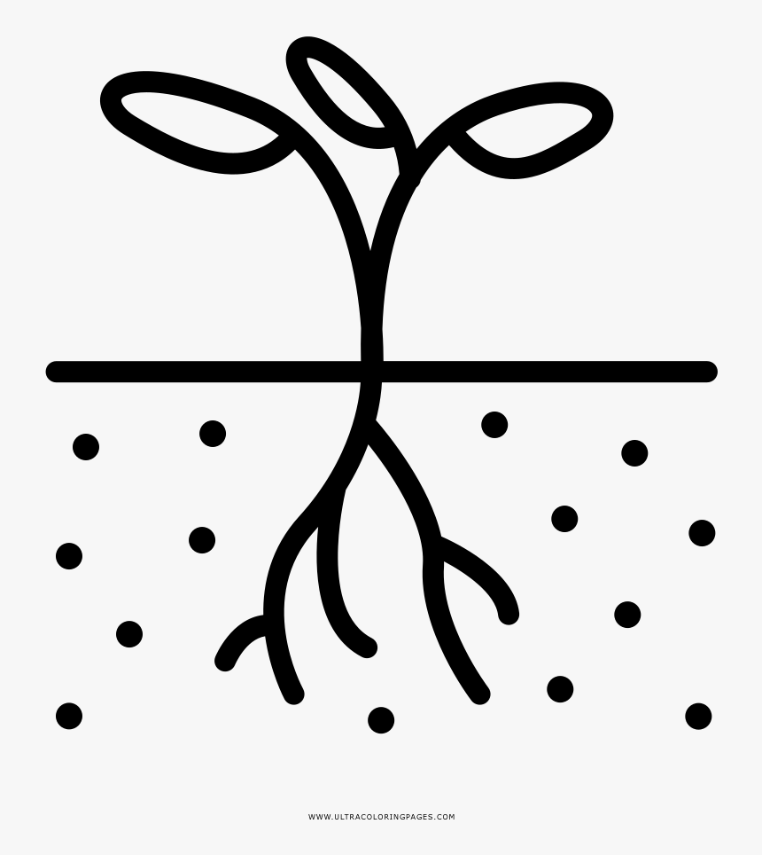 Plant Roots Coloring Page - Line Art, HD Png Download , Transparent Png ...