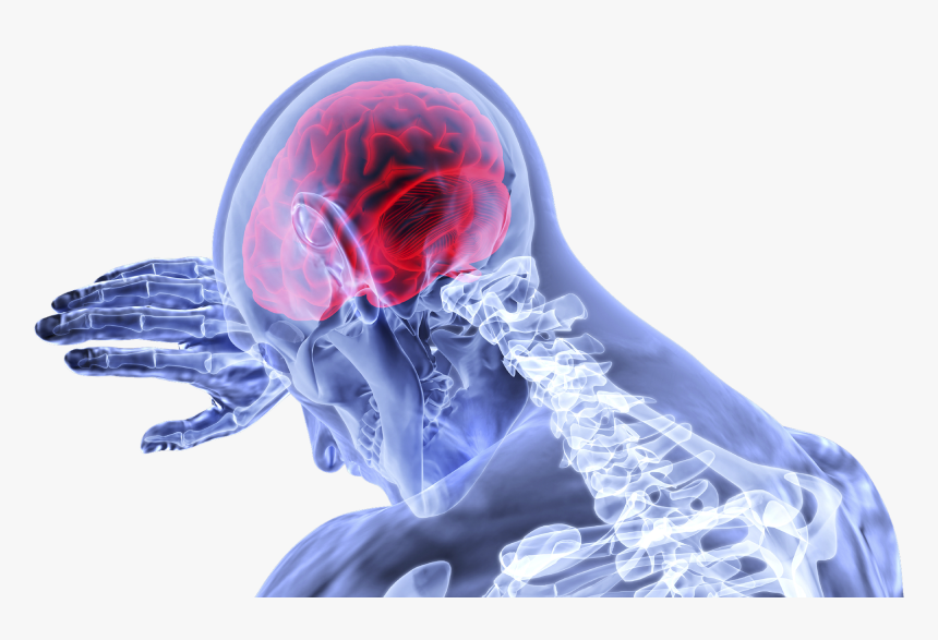 Traumatic Brain Injury Png, Transparent Png , Transparent Png Image ...