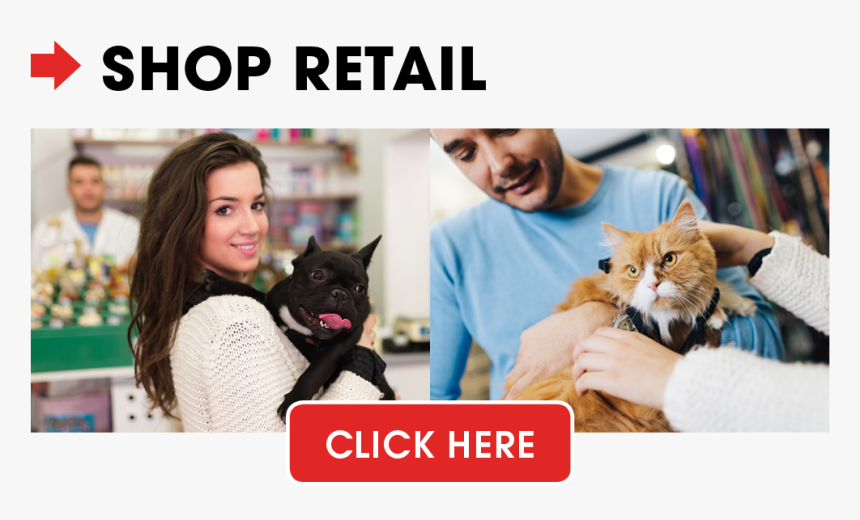 Pet Store, HD Png Download , Transparent Png Image - PNGitem