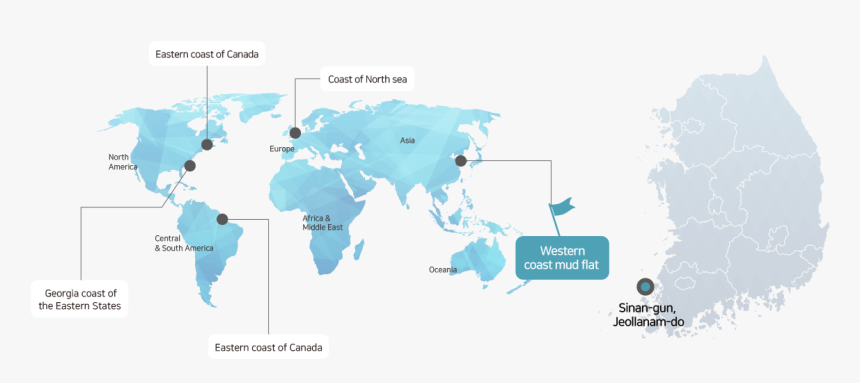 World Map In Blue Color, HD Png Download , Transparent Png Image - PNGitem