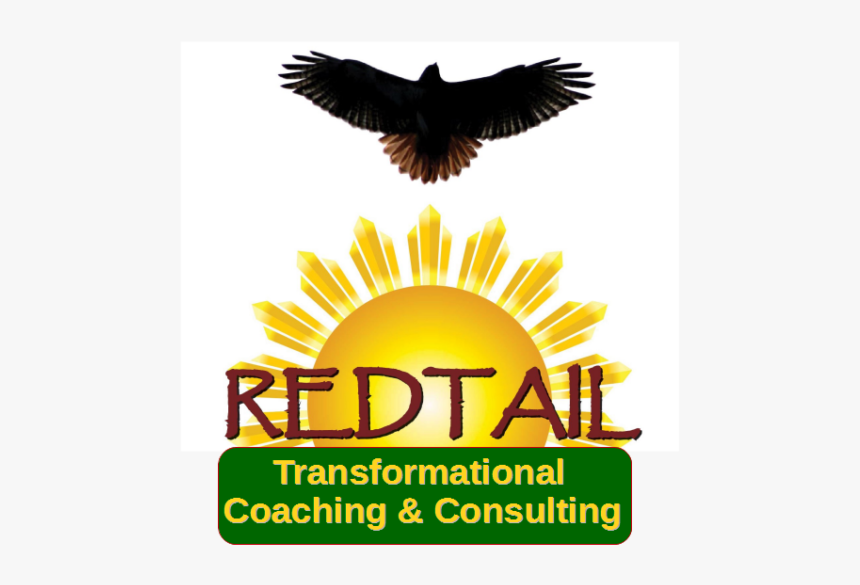 Jim Redtail - Red Tailed Hawk Silhouette, HD Png Download , Transparent ...