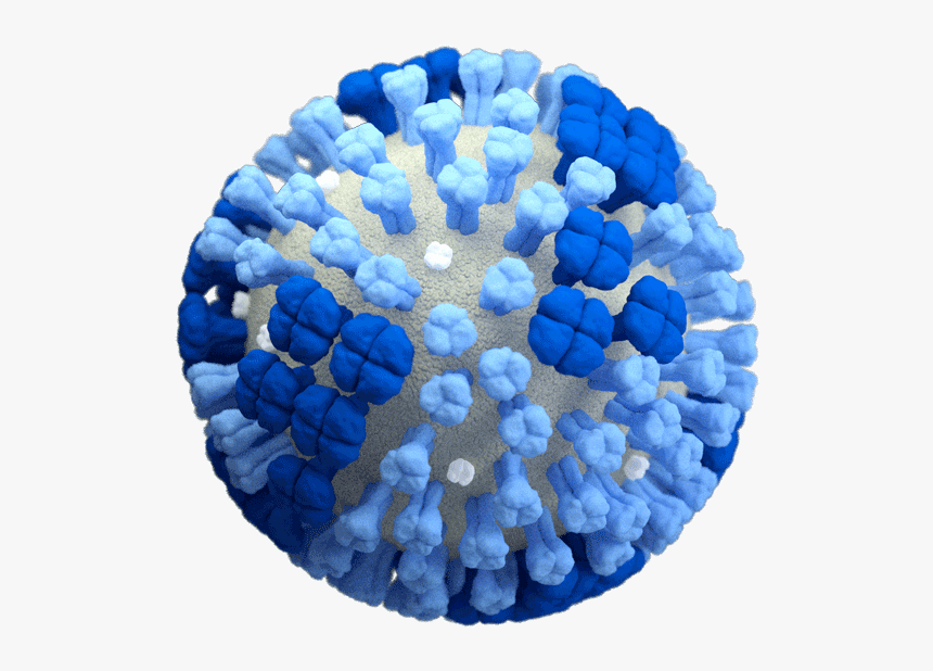 Flu19 Full Nottrans-large - Flu Virus, HD Png Download , Transparent ...