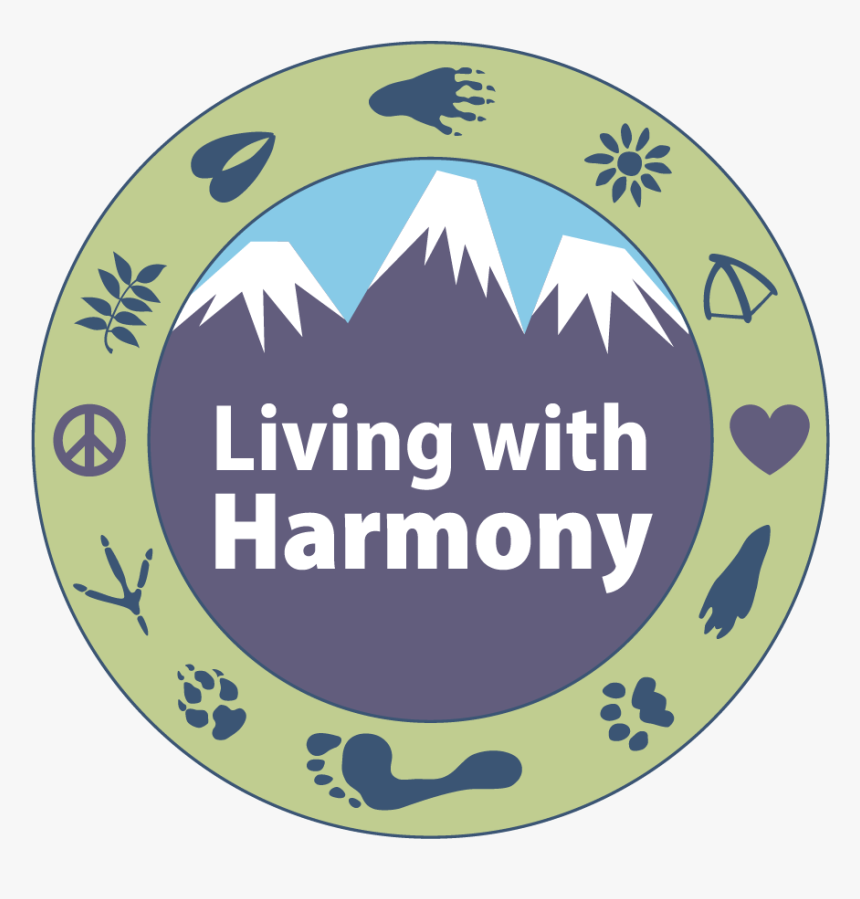 Hands On Machine Learning With Javascript, HD Png Download ...