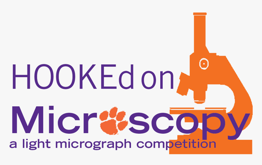 Clemson Tiger Paw, HD Png Download , Transparent Png Image - PNGitem