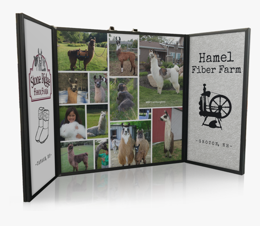 Mini Table Top Displays - Banner, HD Png Download , Transparent Png ...