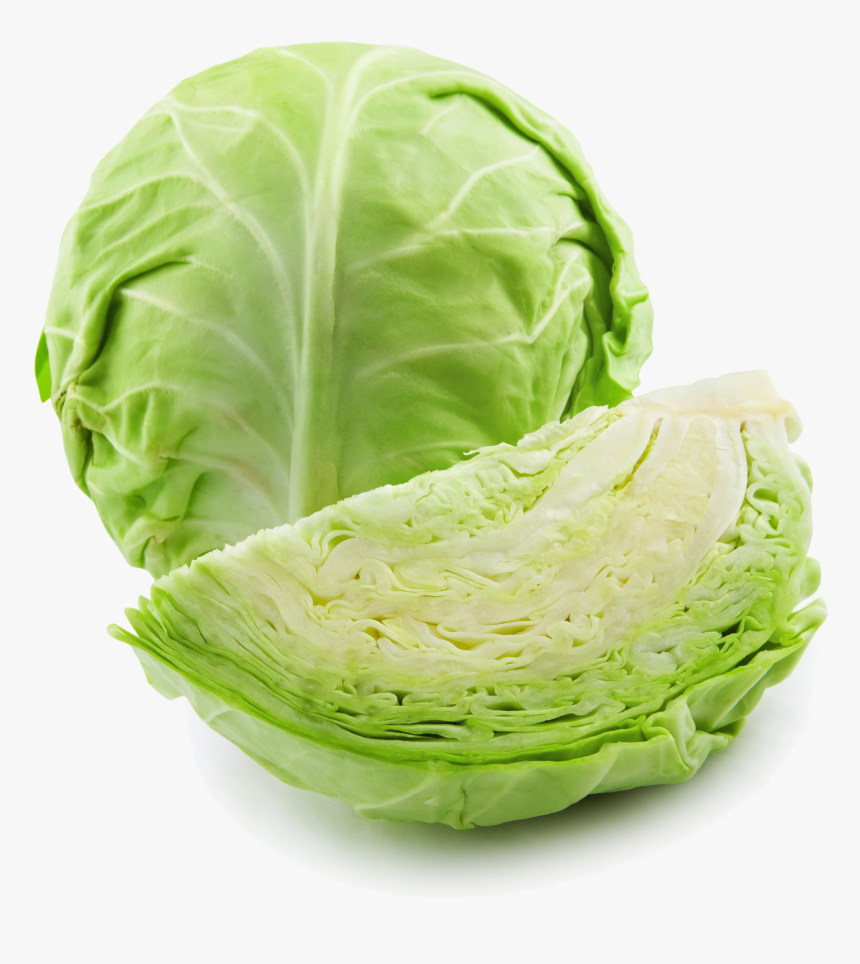 Cabbage Png High-quality Image - Cabbage .png, Transparent Png ...