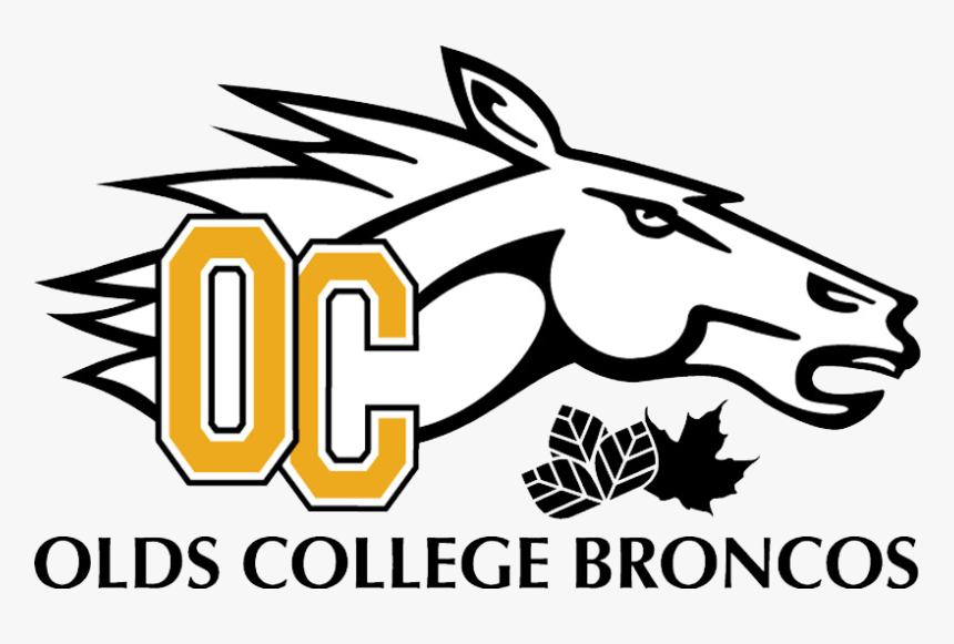 Olds Broncos , Png Download - Olds College Broncos Logo, Transparent ...
