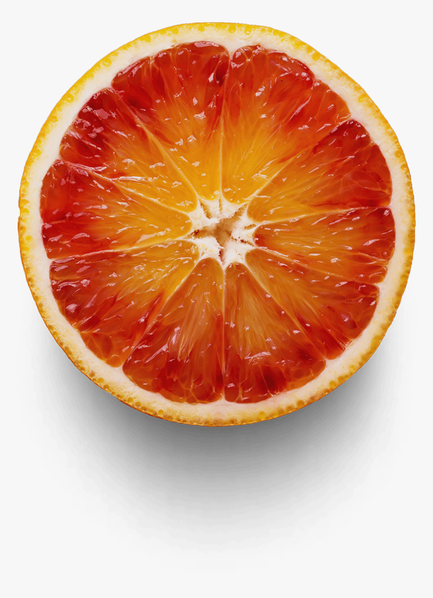 Half Blood Orange, HD Png Download , Transparent Png Image - PNGitem