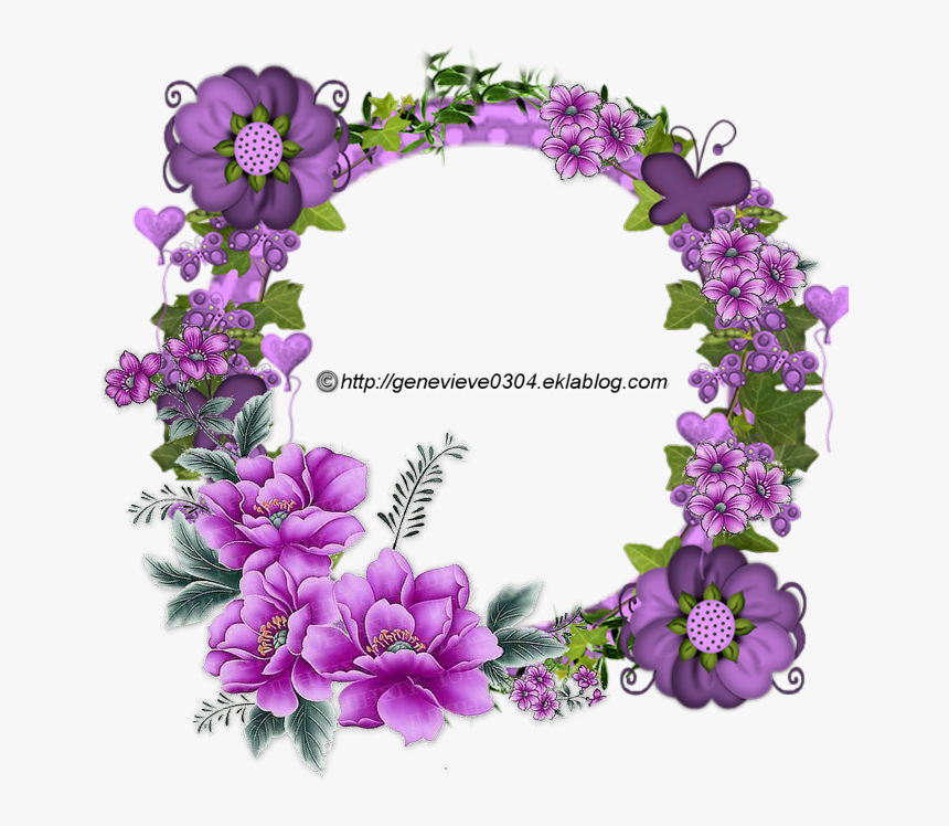 Viola, HD Png Download , Transparent Png Image - PNGitem