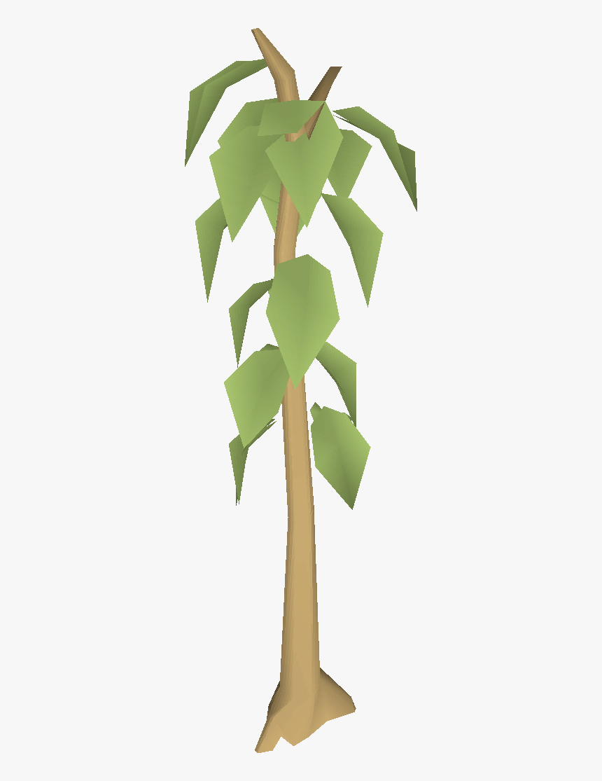 Old School Runescape Wiki - Teak Wood Tree Png, Transparent Png ...